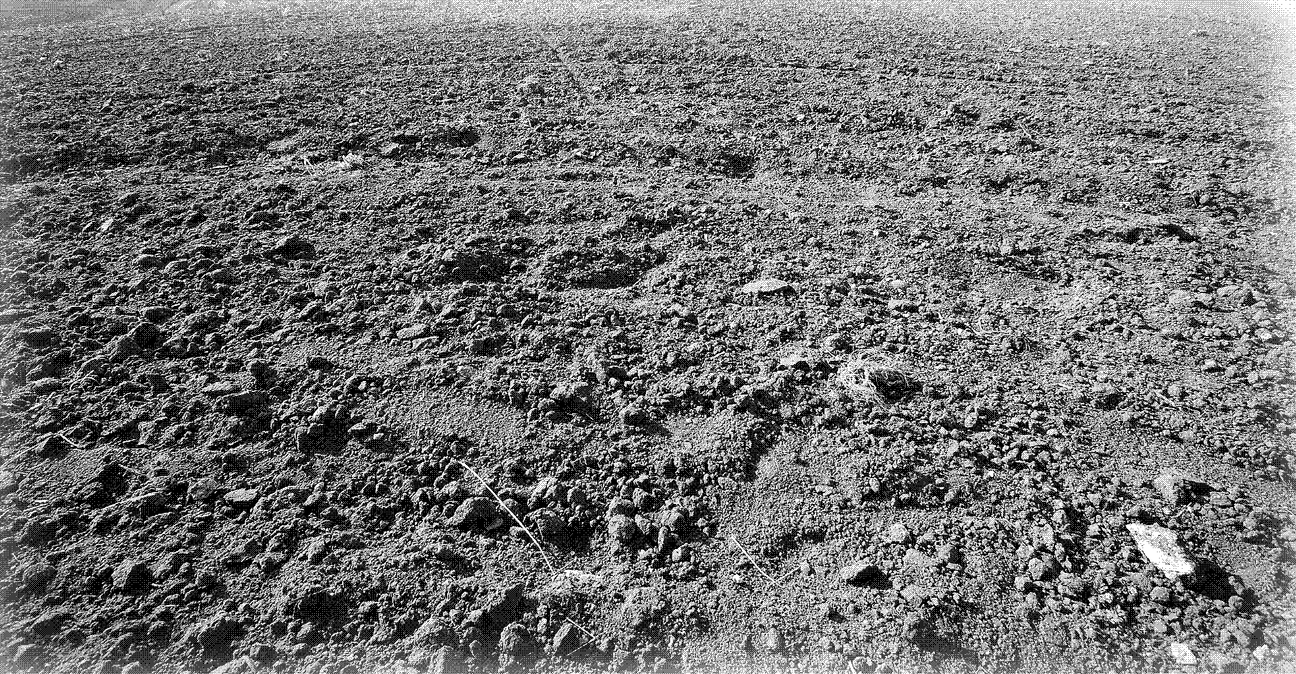 Airbrush HD Stencils - Realistic high detail stencils for airbrushing ...